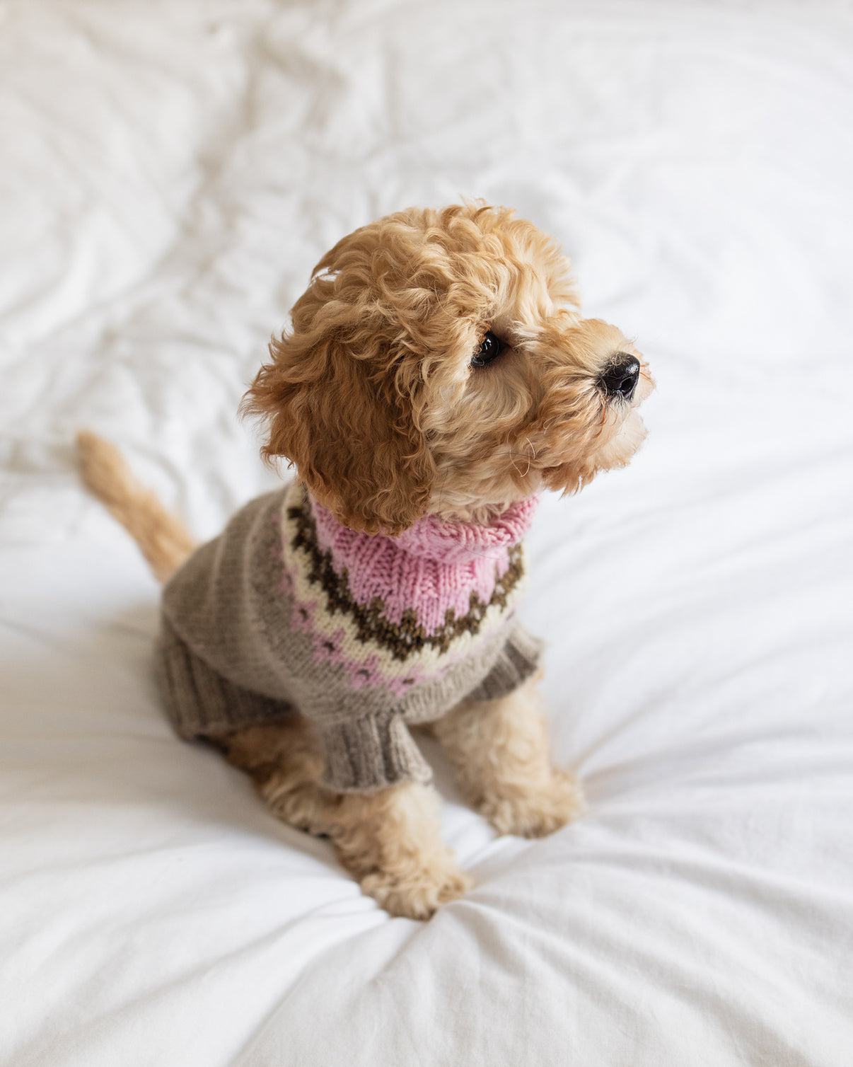 Happy Dog Sweater – Knit a Sweater for a furry friend with Perfect Fit ...