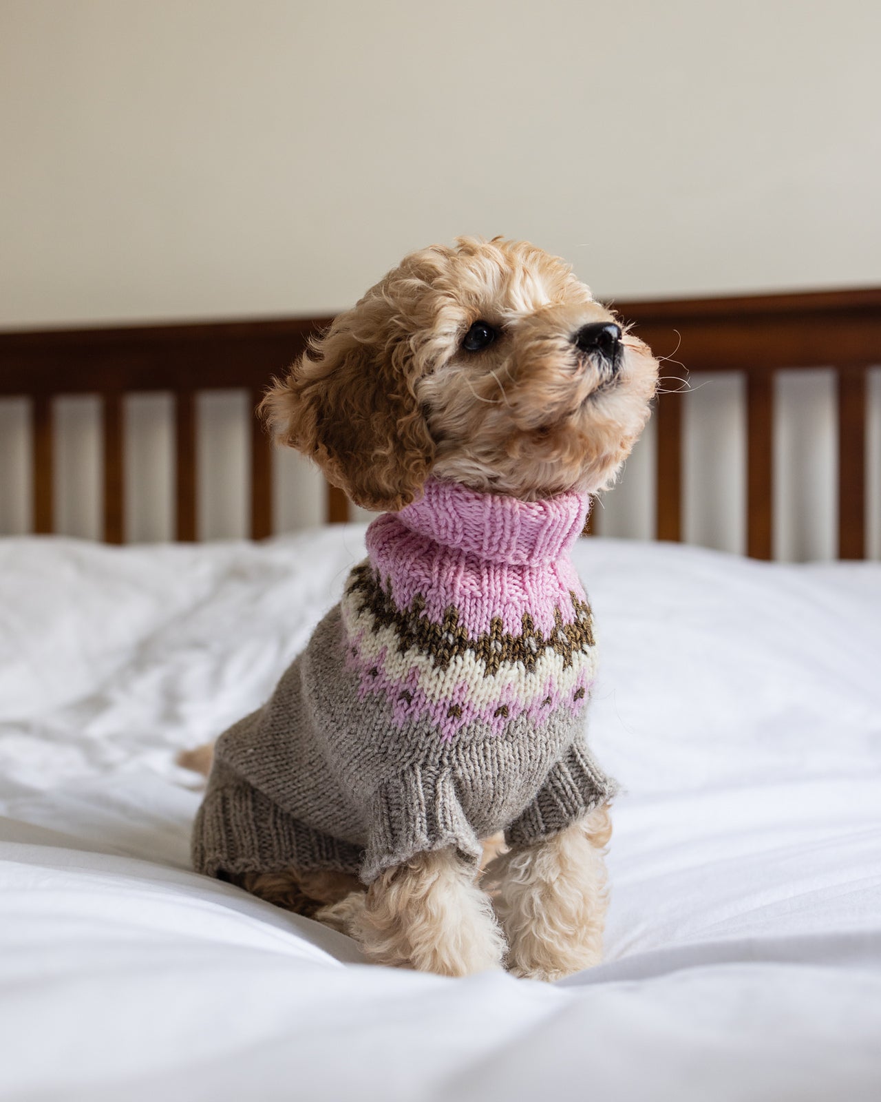 Happy Dog Sweater – Knit a Sweater for a furry friend with Perfect Fit ...
