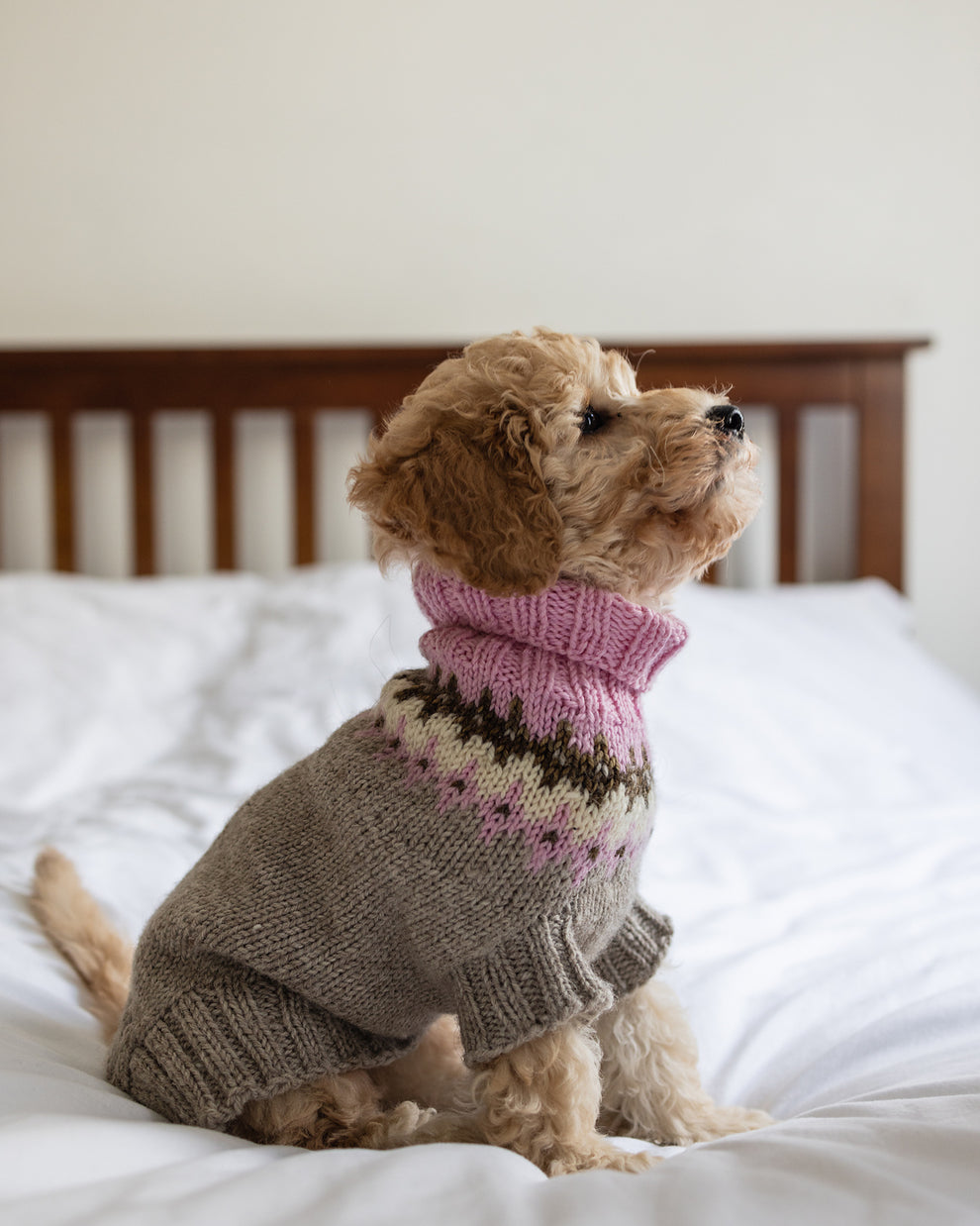 Happy Dog Sweater – Knit a Sweater for a furry friend with Perfect Fit ...